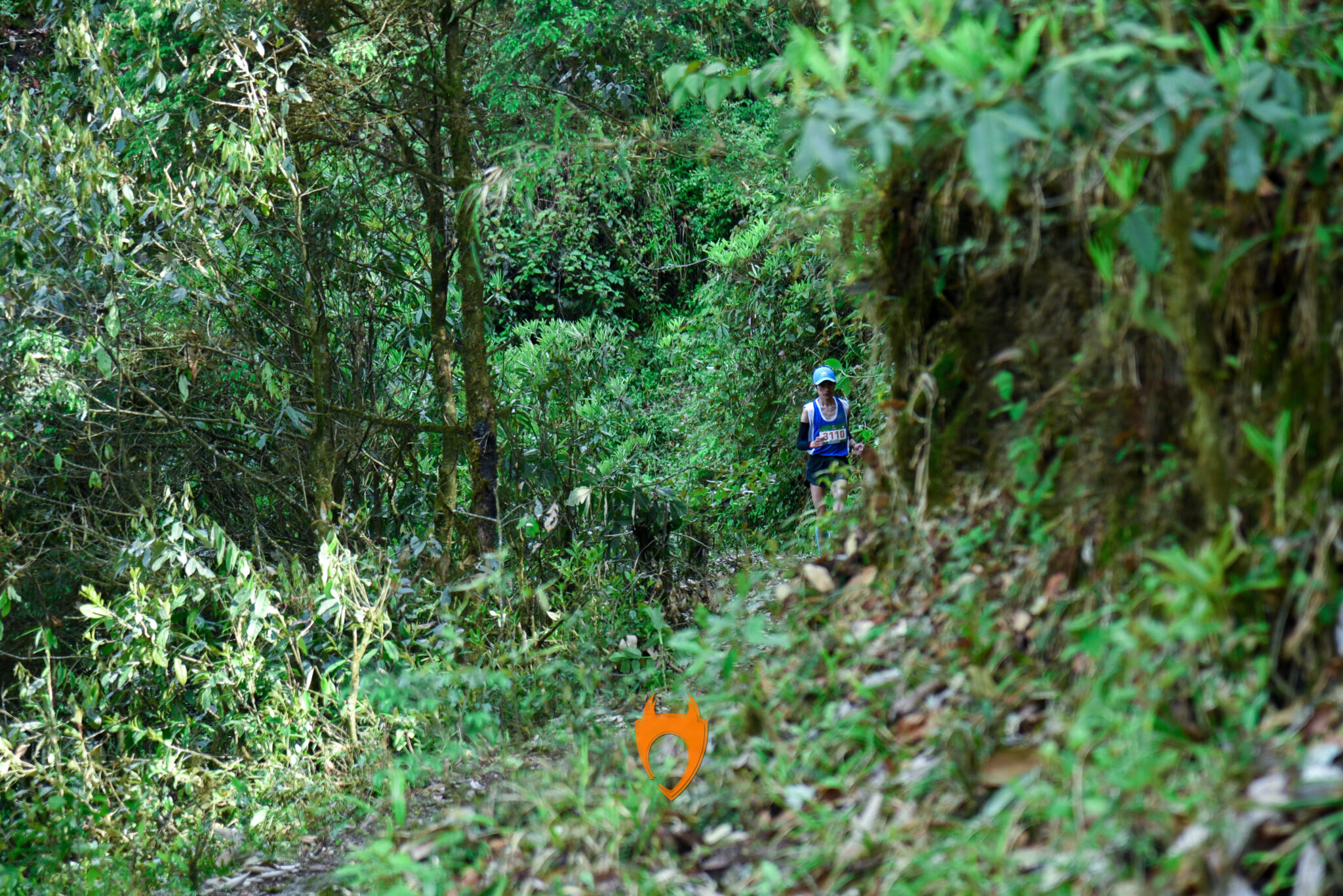 The Buddha Trails - Run To The Sleeping Buddha | Rimbick