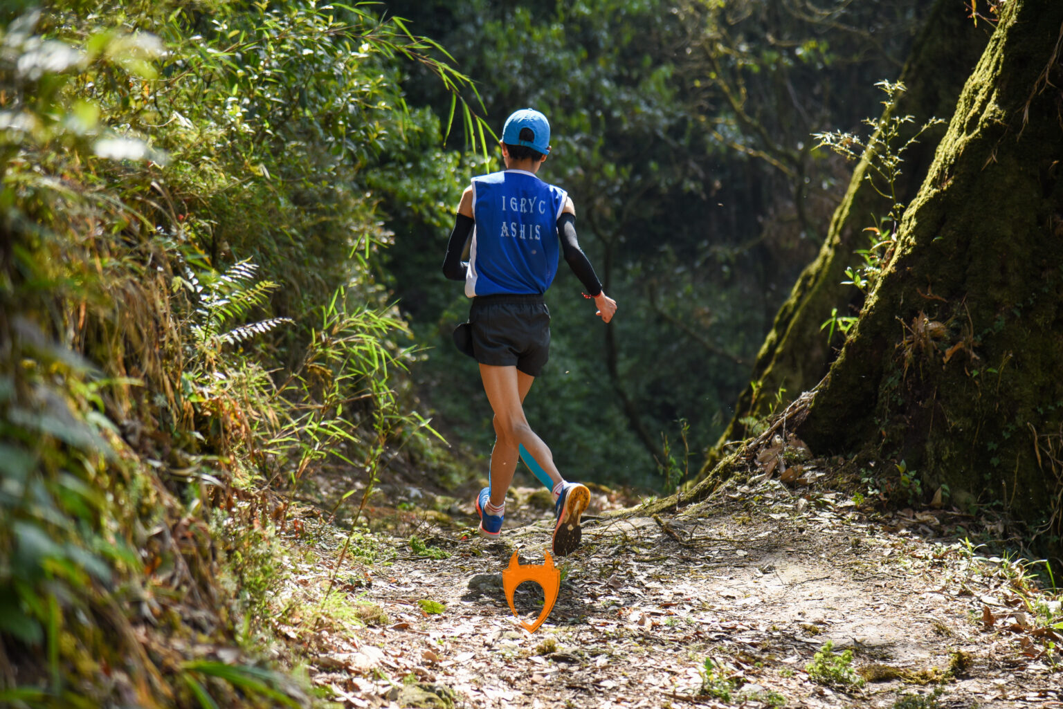 The Buddha Trails - Run To The Sleeping Buddha | Rimbick